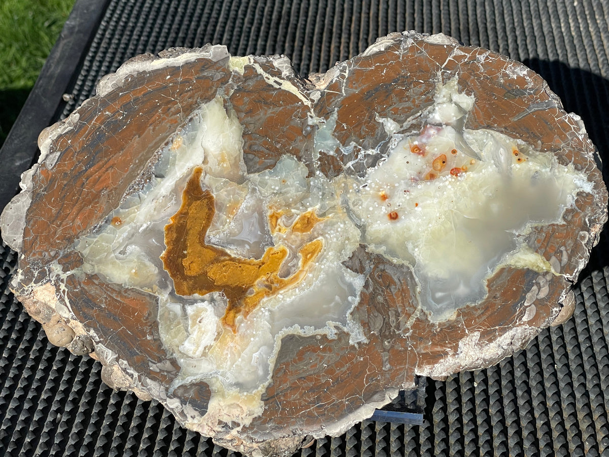 Large Double Chamber Canyon Rim Thunder Egg– The Rock Pile Lapidary Arts