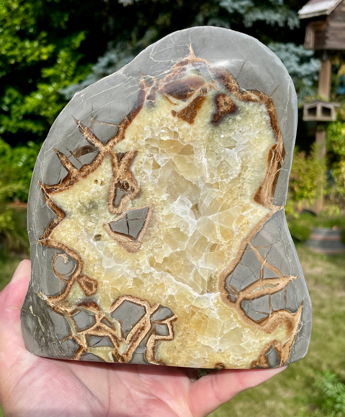 Large Septarian Freeform Standup Nodule– The Rock Pile Lapidary Arts