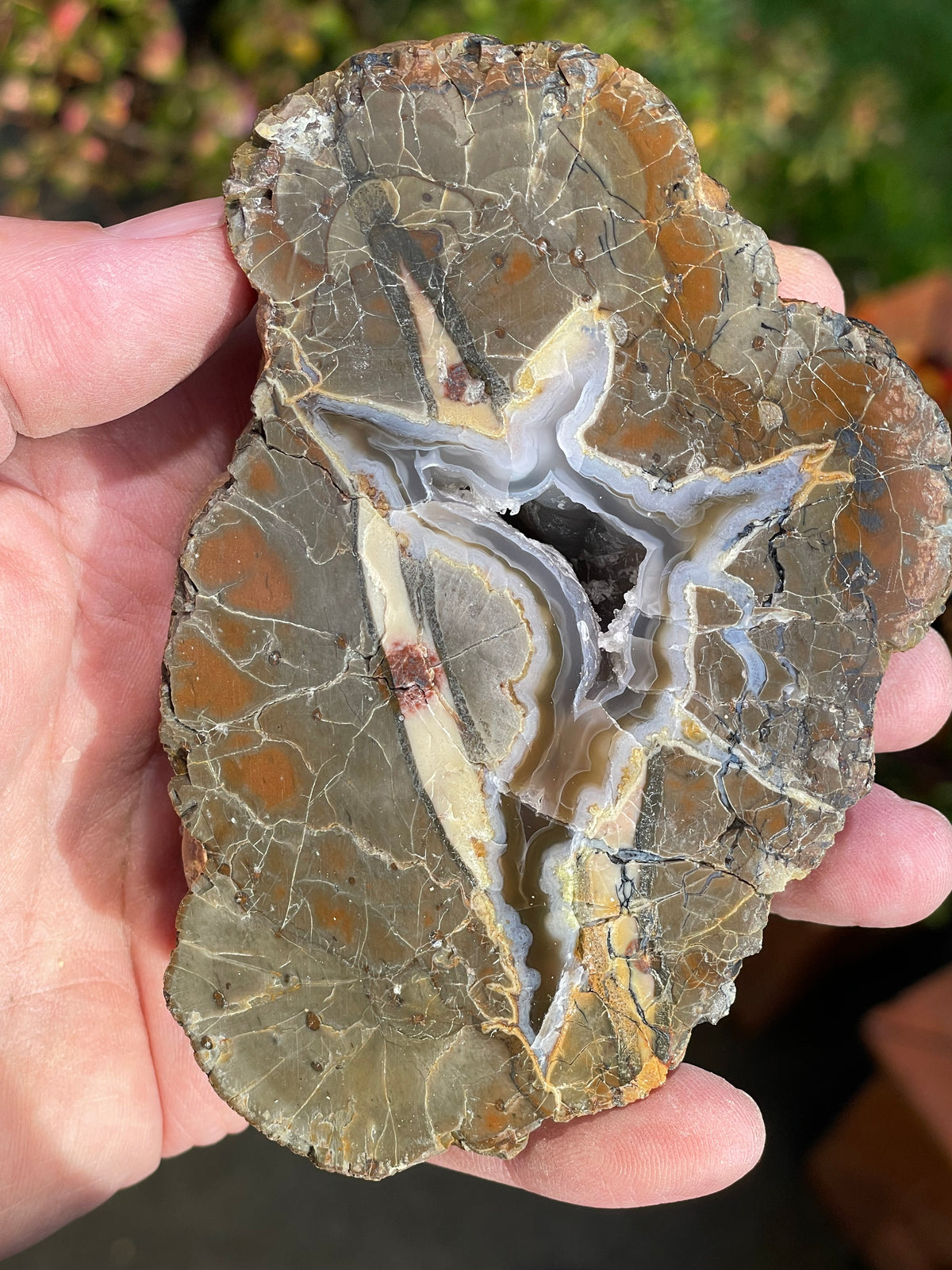 Egg Shaped Canyon Rim Thunder Egg Half– The Rock Pile Lapidary Arts