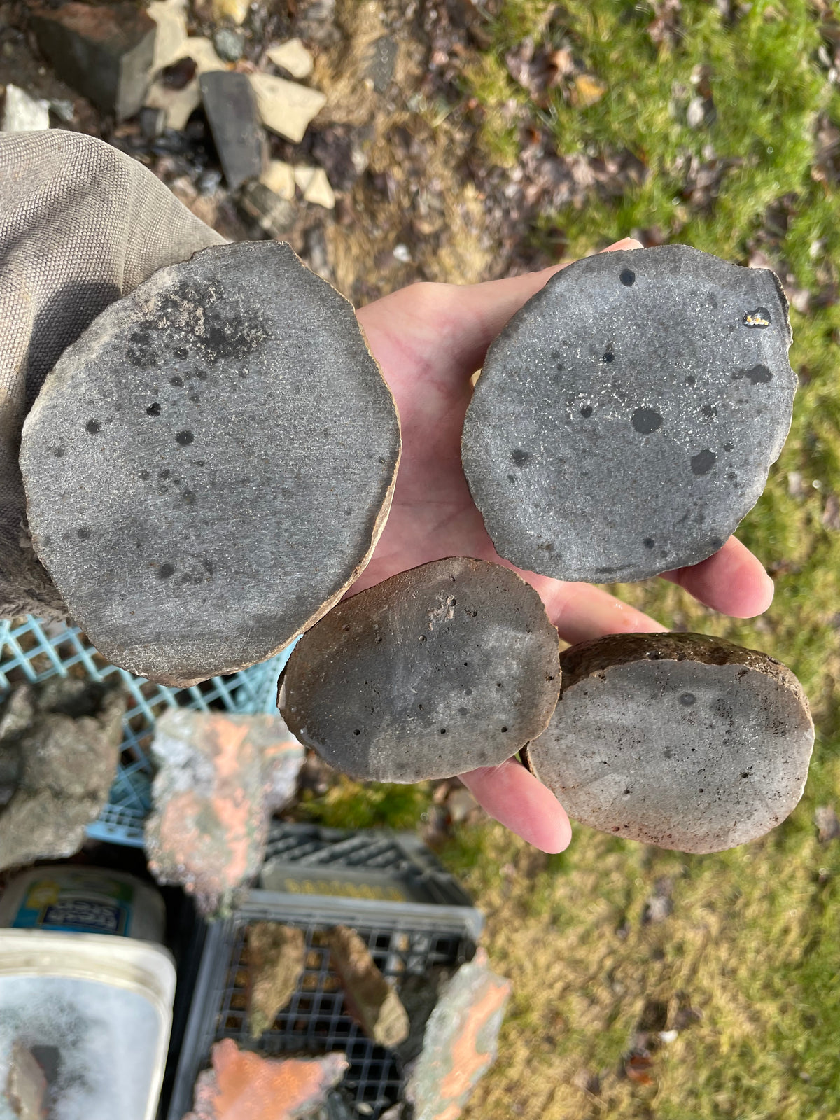 Cut basalt nodules– The Rock Pile Lapidary Arts