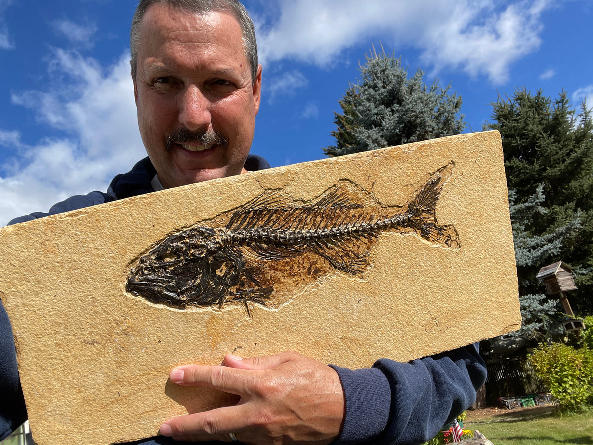 Mioplosus Labracoides– The Rock Pile Lapidary Arts