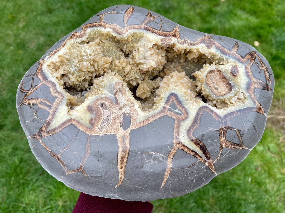 XL Septarian Free-Form Crystal Geode/Nodule– The Rock Pile Lapidary Arts
