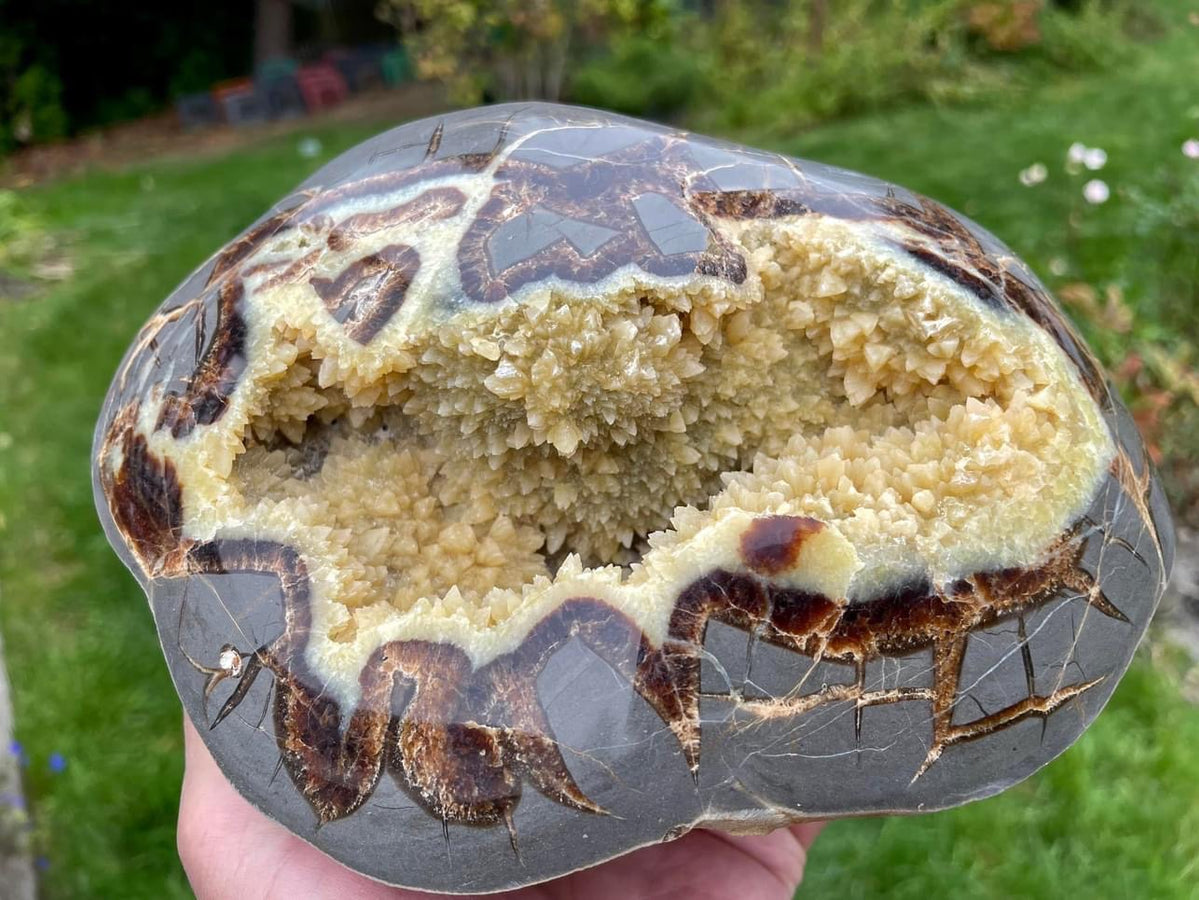 Large Septarian Free Form Crystal Geode Nodule– The Rock Pile Lapidary Arts